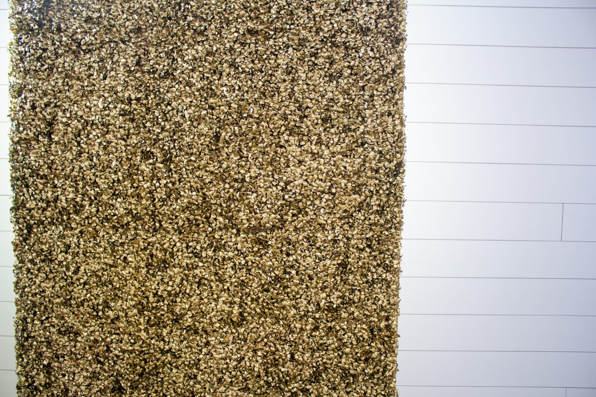 Gold Hedge Wall - Sugar Creek Event Rentals